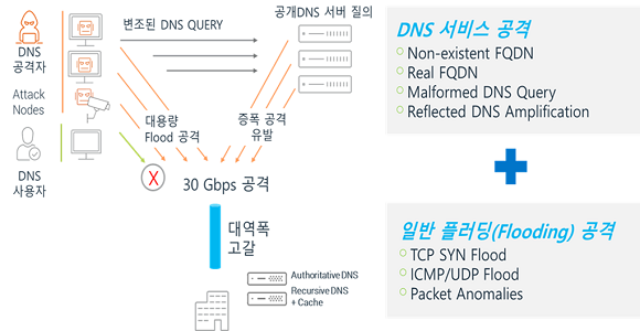 A10 “DNS 타깃 디도스, 멀티벡터 방어 기술로 보호” - 데이터넷